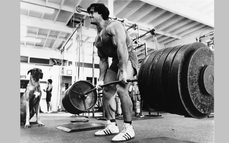 Bodybuilding VS Powerlifting: Which Is Better? • SpotMeBro.com