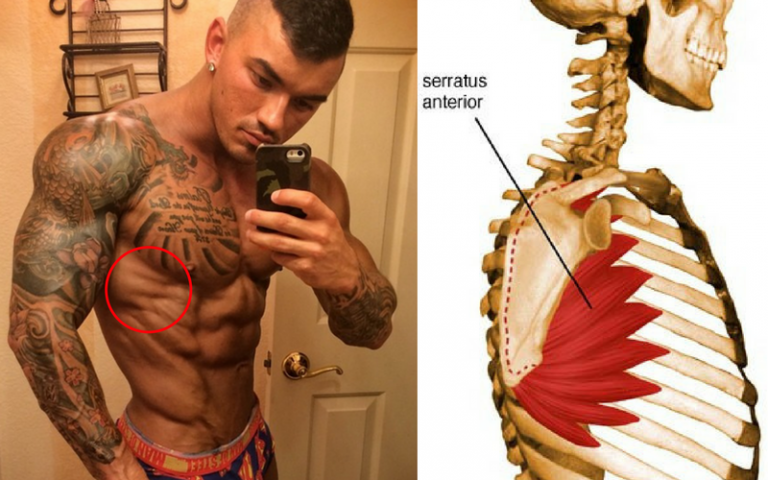 4 Ignored Muscles You Should Train For A Symmetrical Physique