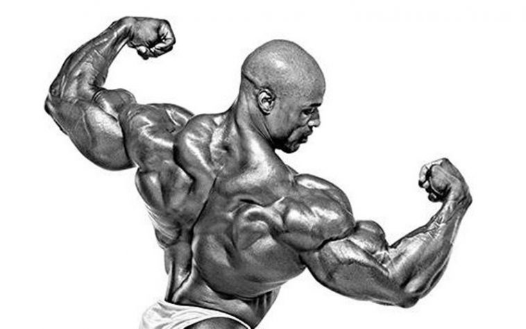 How To Build Muscle Mass