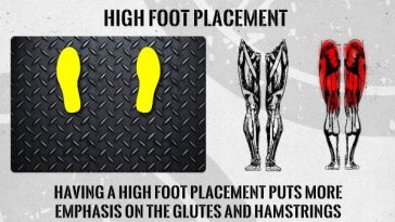 The Complete List Of Bodybuilding Leg Exercises And The Best Ones To Do ...