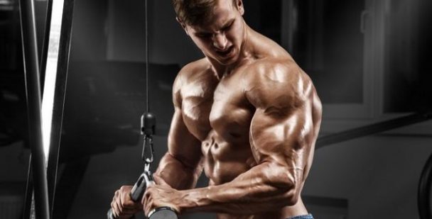 Weak Triceps? Try Our Complete Workout For Triceps • SpotMeBro.com