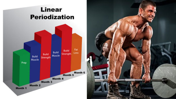 An Idiot's Guide To Linear Periodization • SpotMeBro.com