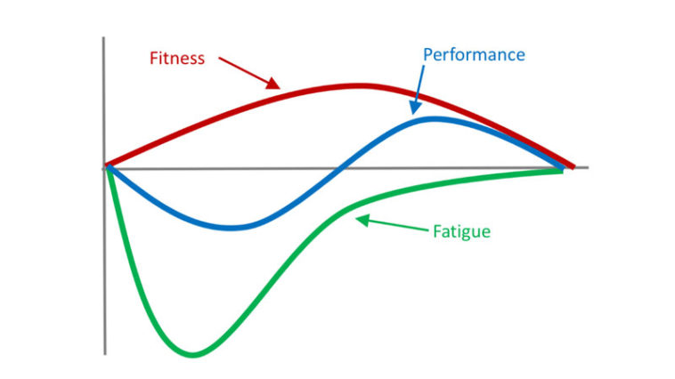 What Is The Fitness Fatigue Model? • SpotMeBro.com