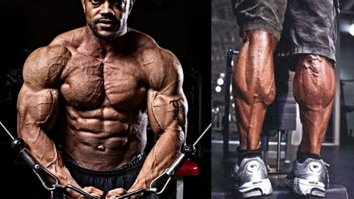 How To Induce Muscle Hyperplasia: The Science • SpotMeBro.com