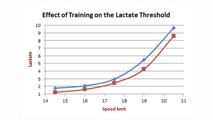 Lactic Acid Training Drills: A Complete Guide For Performance ...