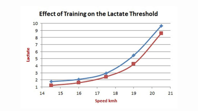 Lactic Acid Training Drills: A Complete Guide For Performance ...