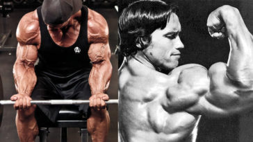 How To Get Bigger Forearms And Wrists - Godlike Arm Workout • SpotMeBro.com