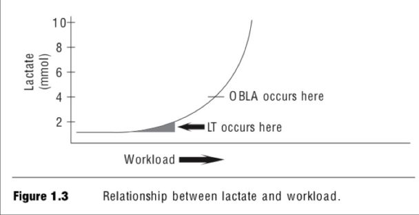 Lactic Acid Training Drills: A Complete Guide For Performance ...