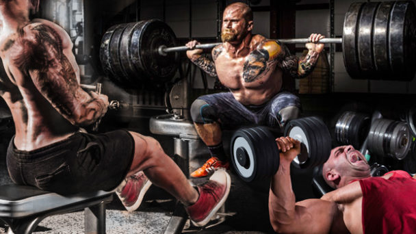 PPL Split Using Push Pull Legs To Achieve Hypertrophy SpotMeBro.com