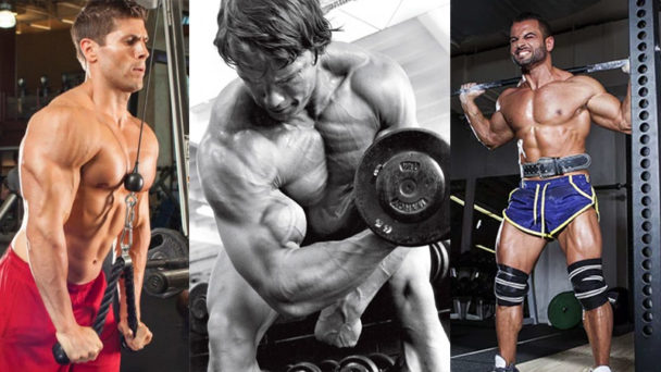 PPL Split Using Push Pull Legs To Achieve Hypertrophy SpotMeBro.com