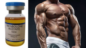 Trenbolone - What You Need To Know: Usage, Cycle & Side Effects - SpotMeBro