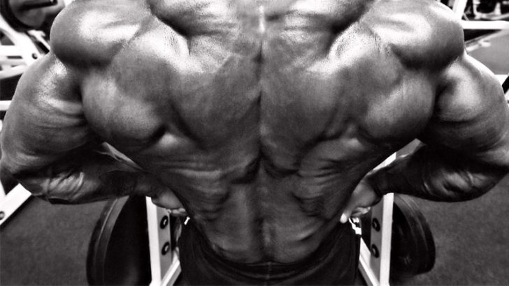 Back • SpotMeBro.com