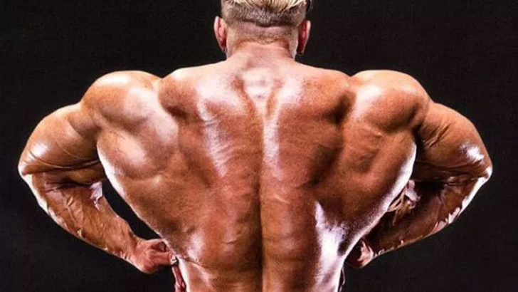 Dumbbell Only Total Back Workout - SpotMeBro.com