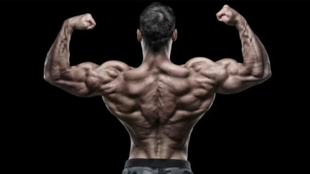 3 Essential Exercises For A Stronger Lower Back SpotMeBro.com