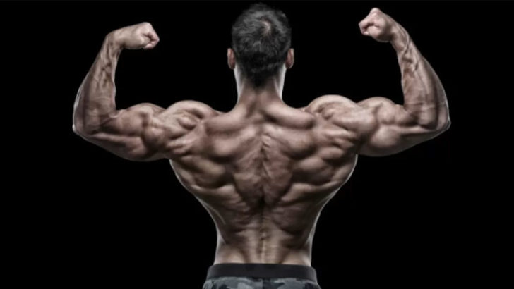 3 Essential Exercises For A Stronger Lower Back SpotMeBro.com