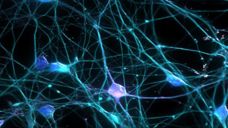 Nootropics: A 101 Bro's Guide To Brain Boosting Nootropics • SpotMeBro.com