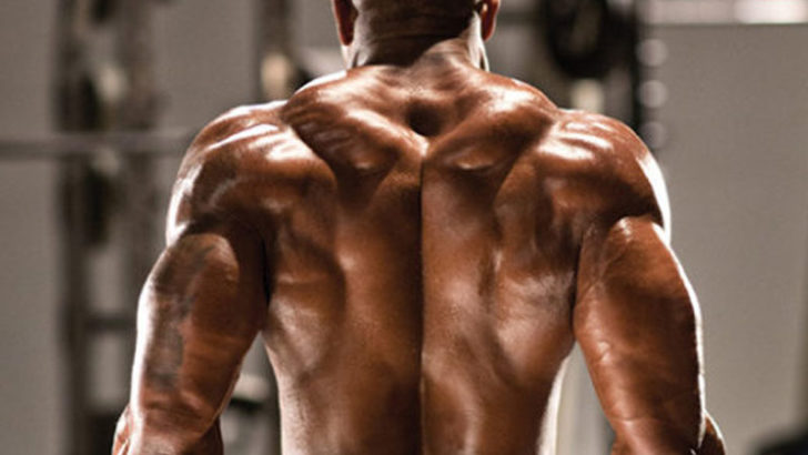 Best Trap Workouts: 5 Workout Moves For Building Massive Traps ...