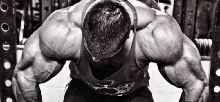 Deltoid Exercises: Try These 5 Amazing Moves To Define Your Deltoids ...