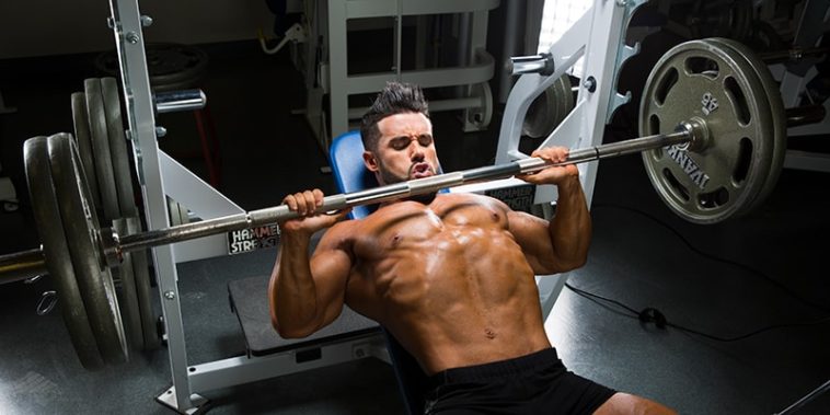 SpotMeBro's Complete Guide To Muscle Building Program • SpotMeBro.com