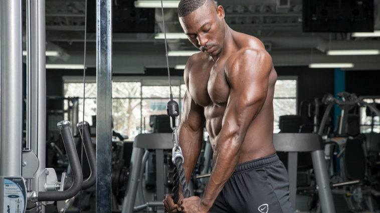 The Ultimate 7-Day Beginner Workout Plan To Get Absolutely Ripped ...