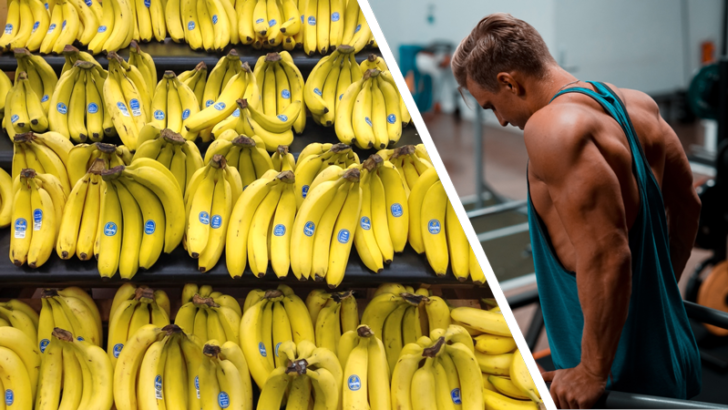 Why Carbs Are Important For Your Muscle Building Gains • SpotMeBro.com